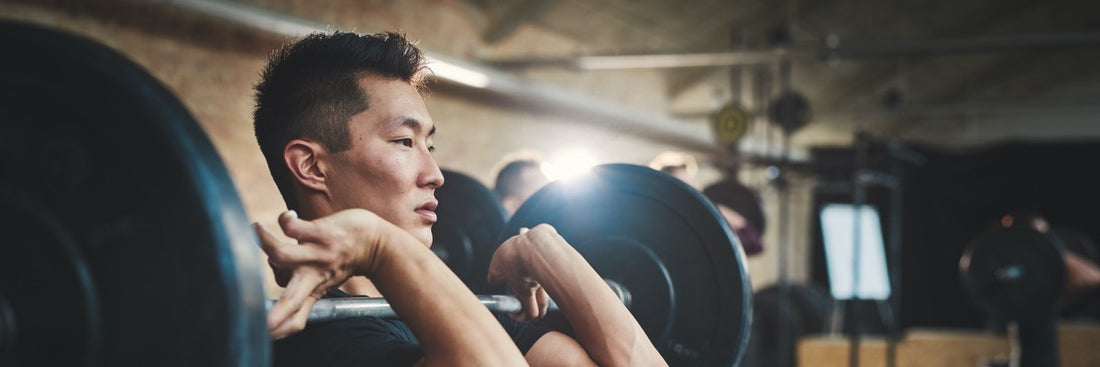 How Does KSM-66 Ashwagandha Work? Benefits & Science Explained – DailyNutra